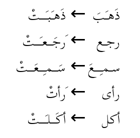 Arabic Verbs Classes – IslamicLessons.com